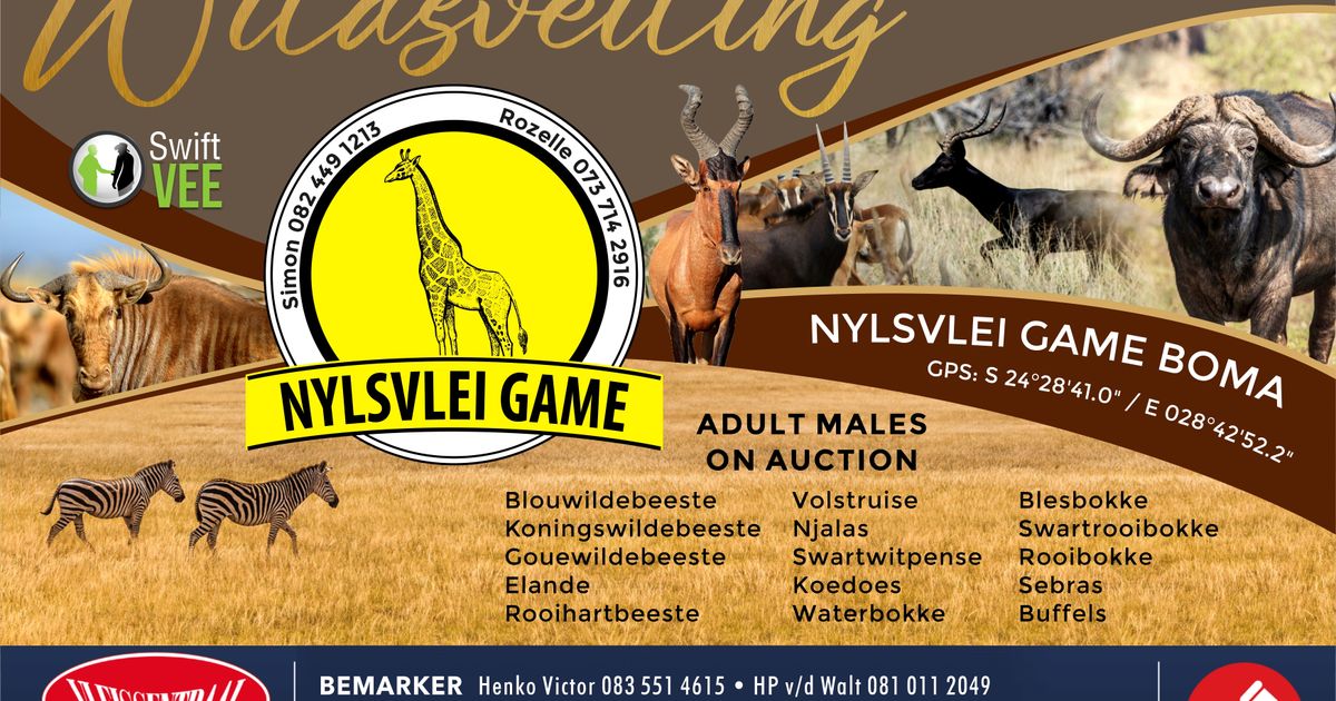 NYLSVLEI GAME TRADERS AUCTION | SwiftVEE | Livestock & Cattle Webcast ...