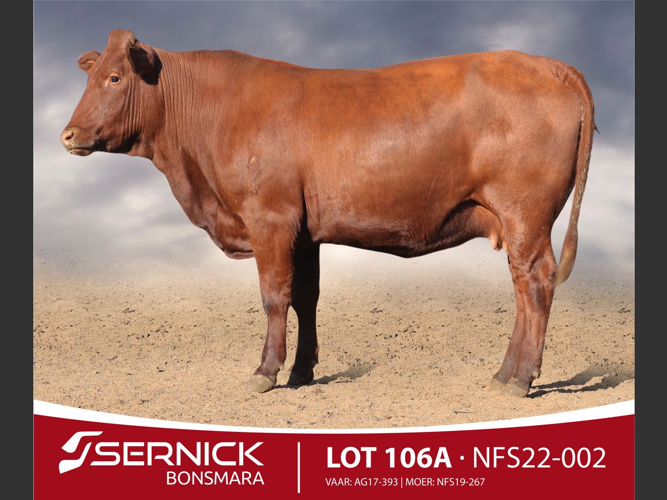 Lot 106A | SERNICK BONSMARA 47STE PRODUKSIEVEILING | SwiftVEE ...