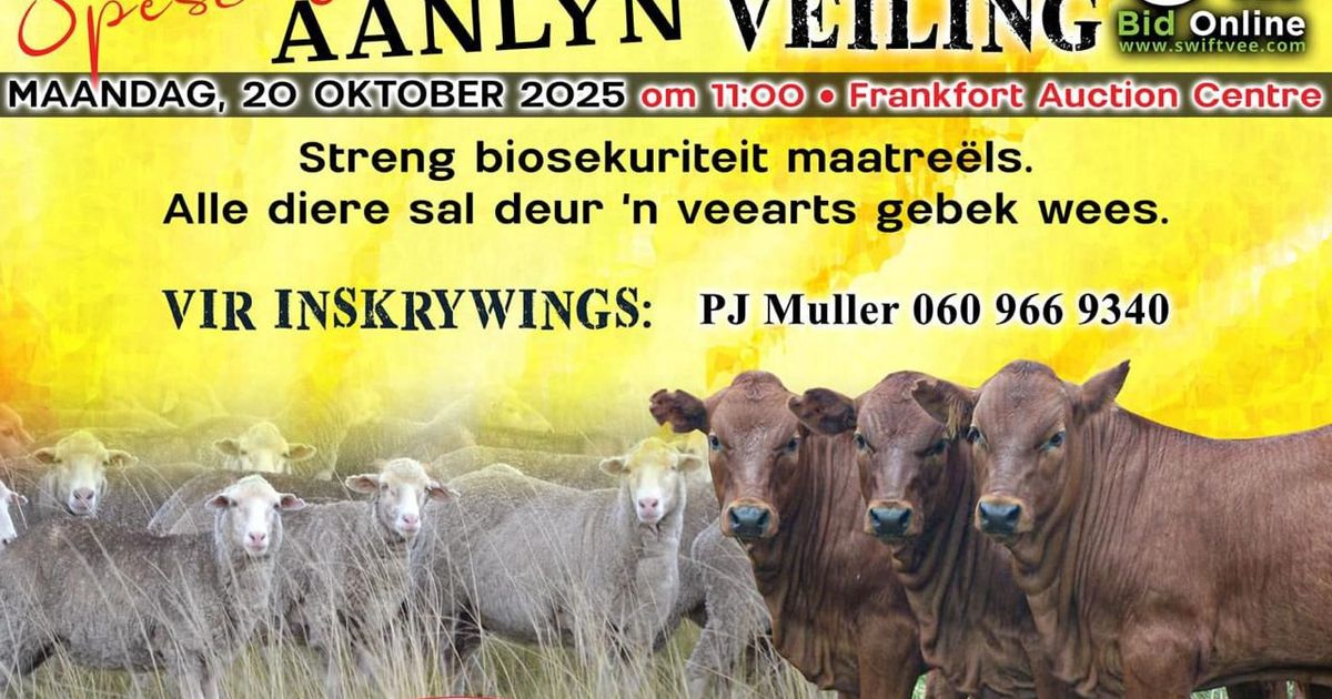 SPESIALE BEES EN SKAAP AANLYN VEILING | SwiftVEE | South Africa’s ...