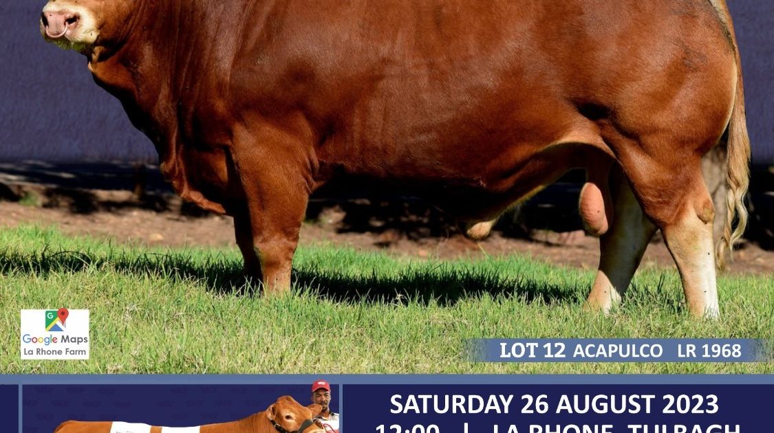 LA RHONE LIMOUSIN AUCTION | SwiftVEE | South Africa’s Leading Online ...