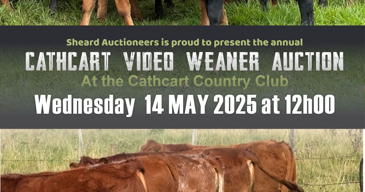 CATHCART WEANER VIDEO SALE | SwiftVEE | Livestock & Cattle Webcast Auctions