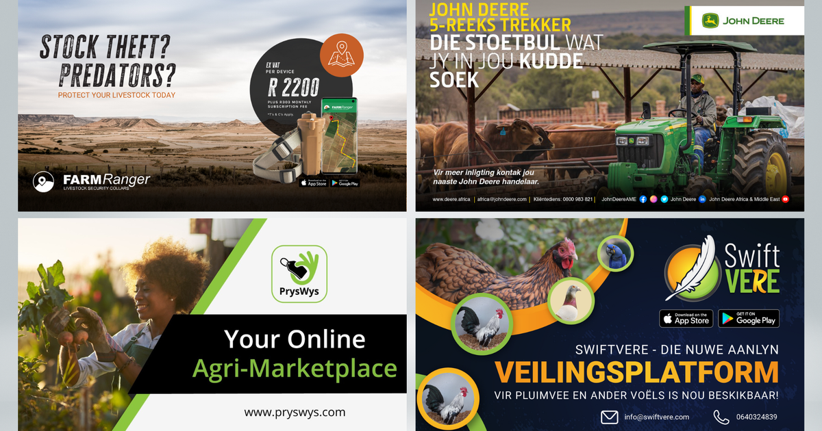 Lot Featured | AANLYN LENTE VEE VEILING | SwiftVEE | Livestock & Cattle ...