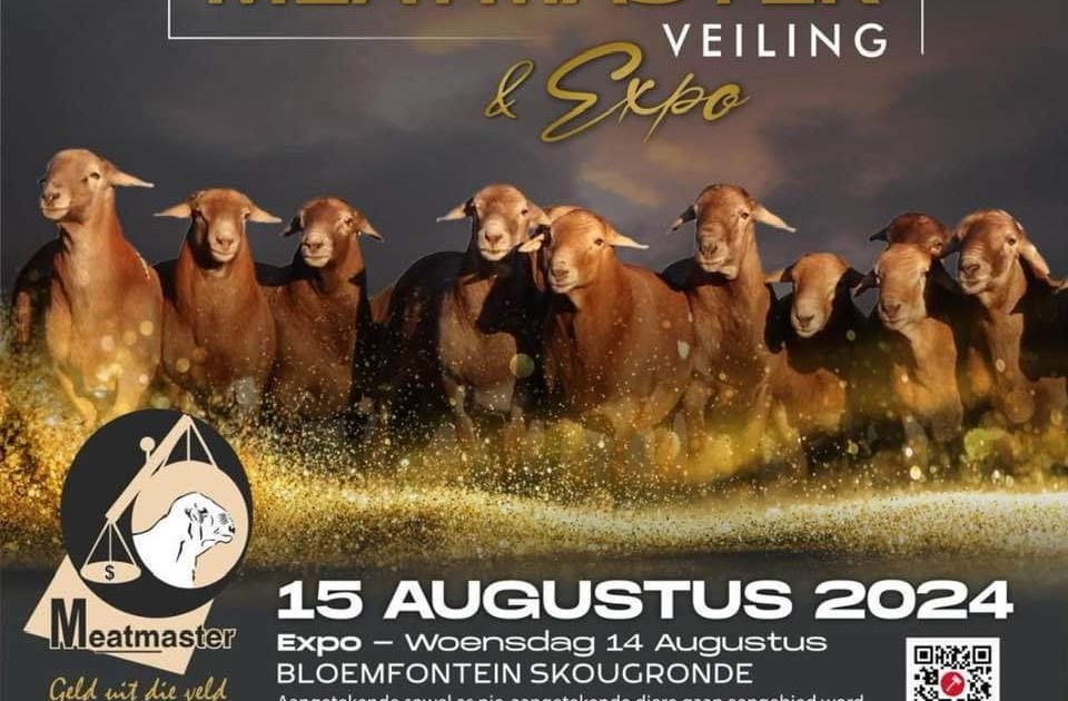 NASIONALE MEATMASTER VEILING | SwiftVEE | South Africa’s Leading Online ...