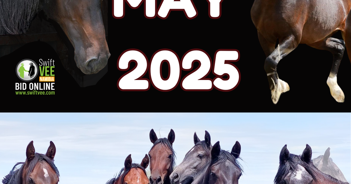 NAMIBIAN SA BOERPERD AUCTION | SwiftVEE | Livestock & Cattle Webcast ...