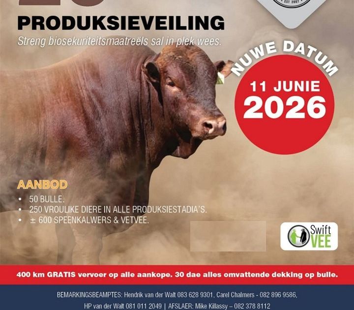 VLAKTE BONSMARA 20STE PRODUKSIEVEILING | SwiftVEE | South Africa’s ...