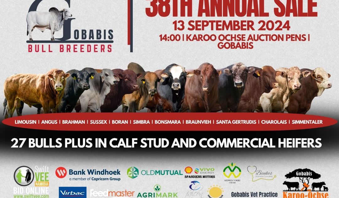 GOBABIS BULL BREEDERS 38TH ANNUAL SALE | SwiftVEE | Livestock & Cattle ...