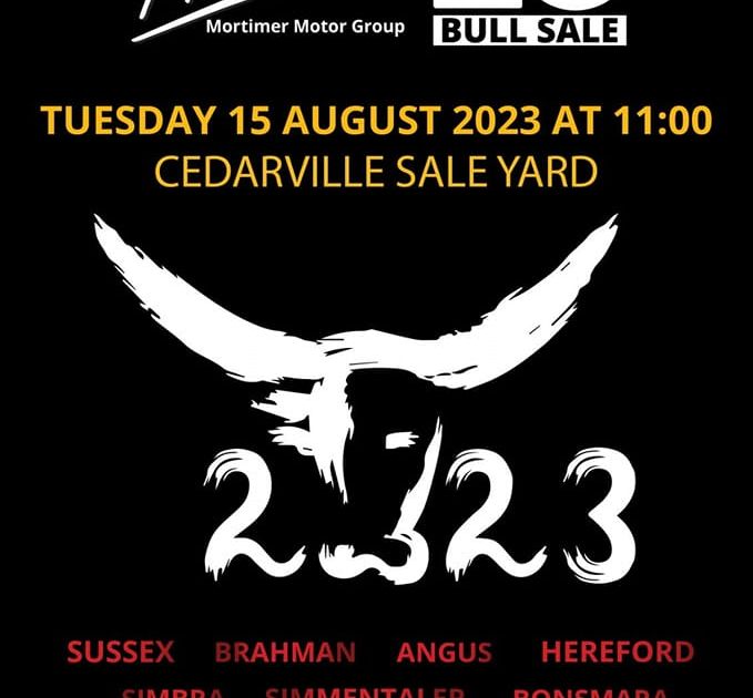 MORTIMER TOYOTA EG BULL SALE | SwiftVEE | South Africa’s Leading Online ...