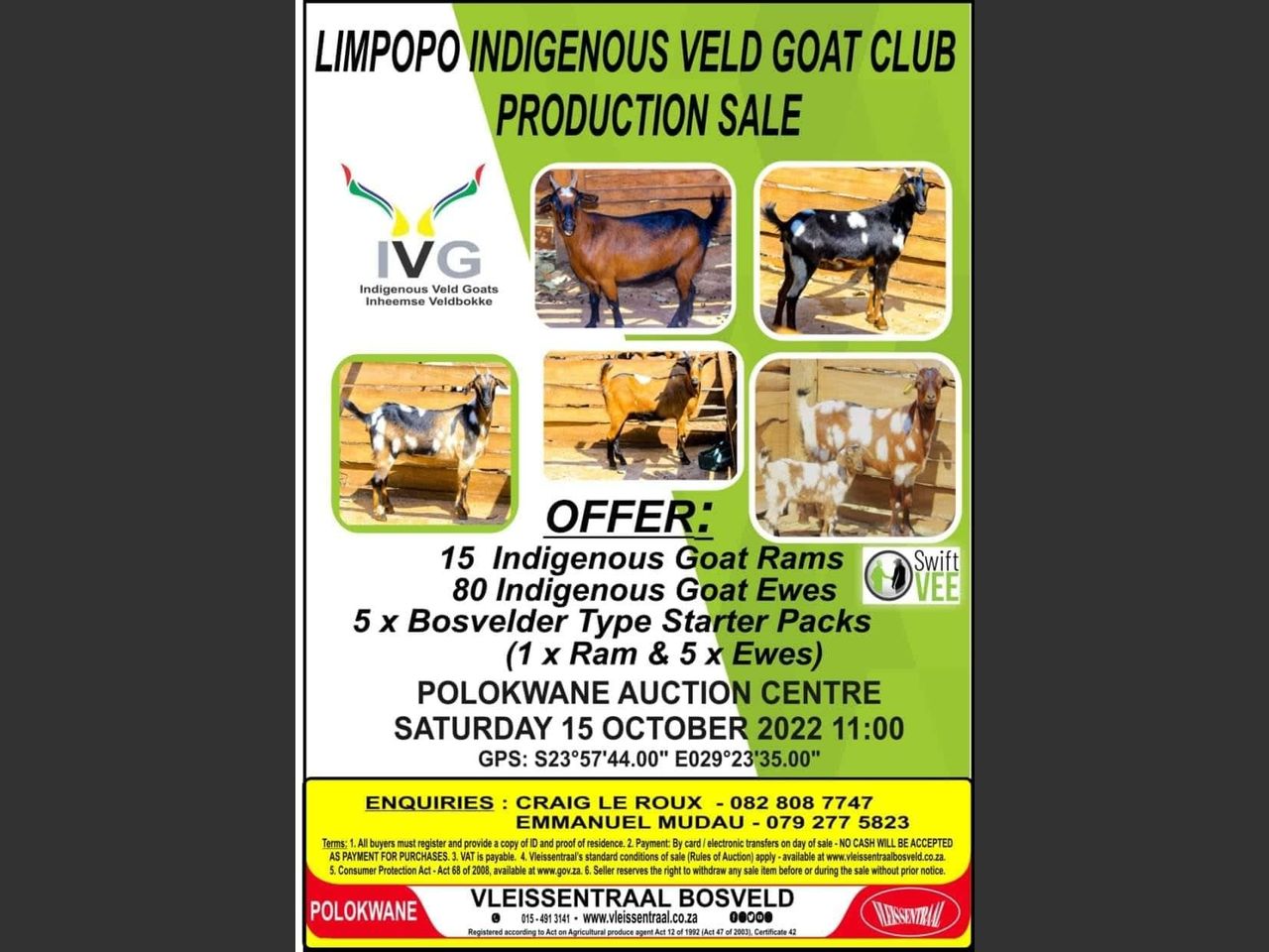 LIMPOPO INDIGENOUS VELD GOAT CLUB PRODUCTION SALE | SwiftVEE | South ...