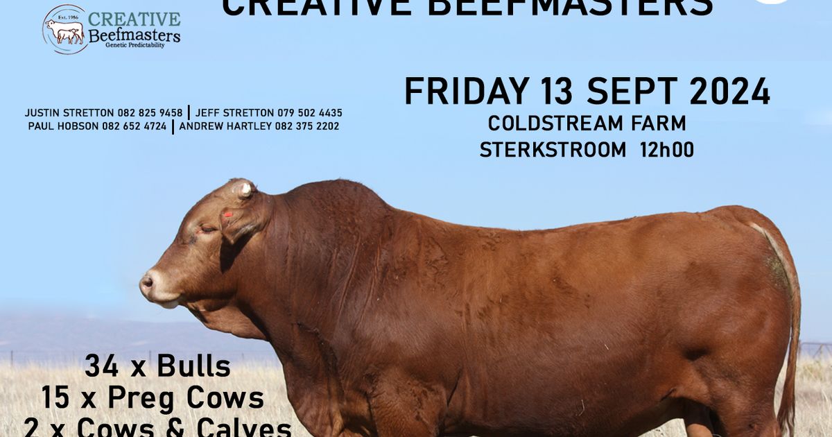 BENCHMARK & CREATIVE BEEFMASTERS AUCTION | SwiftVEE | South Africa’s ...