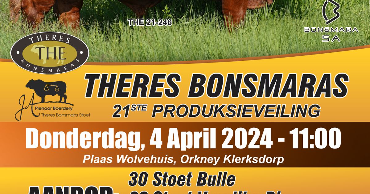 THERES BONSMARAS 21STE PRODUKSIEVEILING | SwiftVEE | South Africa’s ...