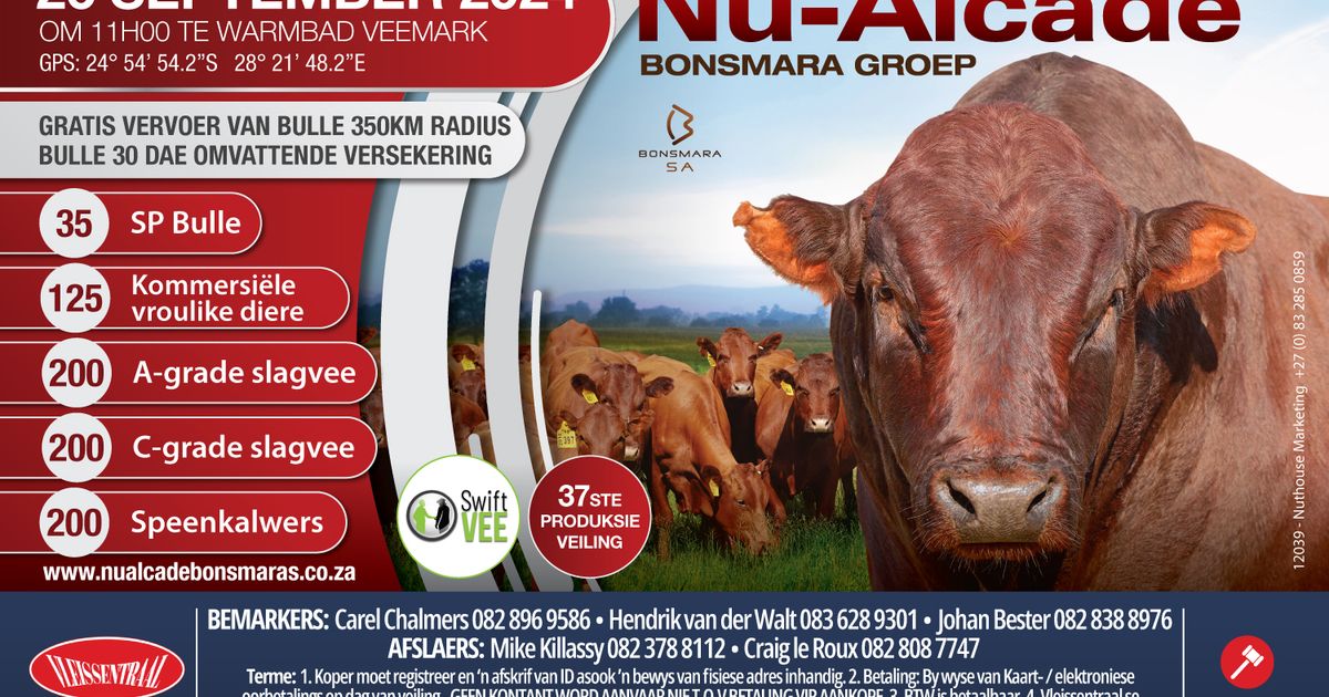 NU ALCADE BONSMARA GROEP 37STE PRODUKSIEVEILING | SwiftVEE | South ...