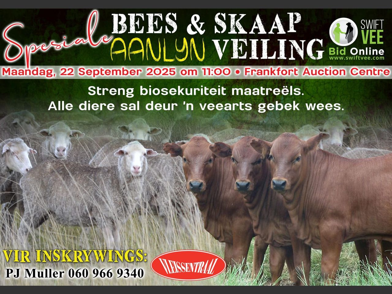SPESIALE BEES EN SKAAP AANLYN VEILING | SwiftVEE | South Africa’s ...