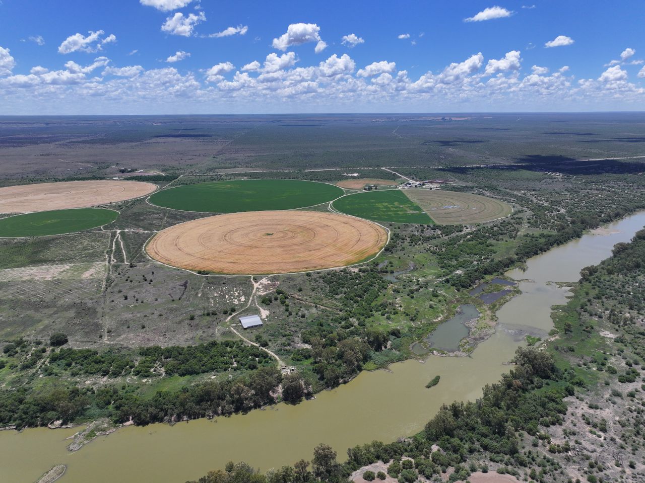 308 ha Irrigation Farm With Pivots – Barkly West | Vleissentraal Eiendomme