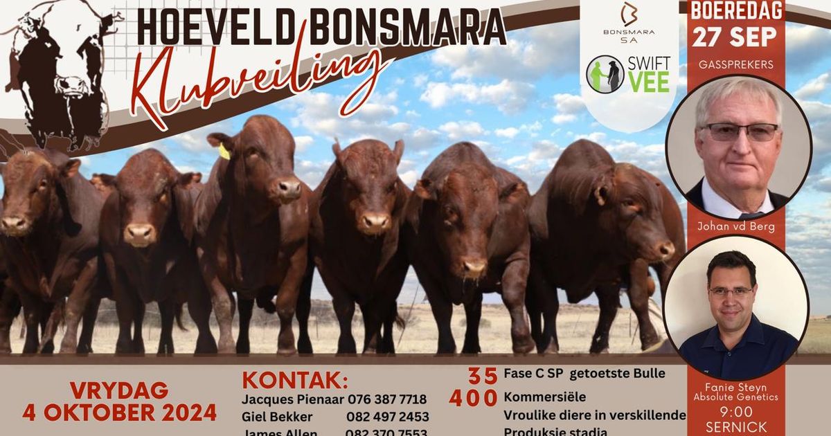 HOËVELD BONSMARA KLUBVEILING | SwiftVEE | South Africa’s Leading Online ...