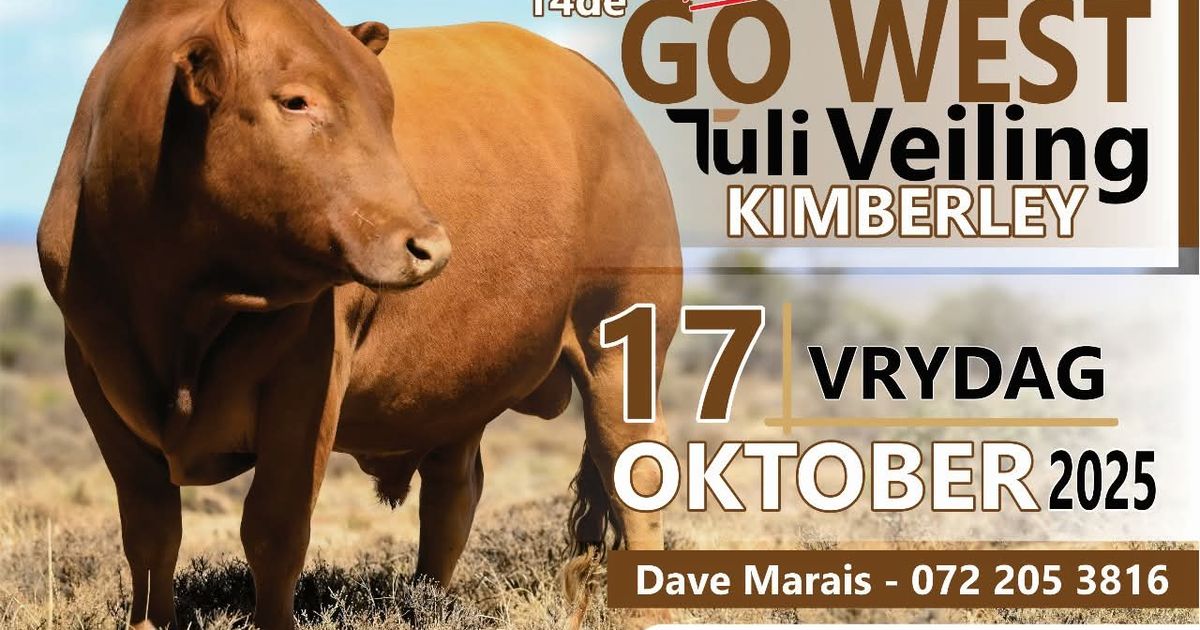 GO WEST TULI 14DE VEILING | SwiftVEE | South Africa’s Leading Online ...