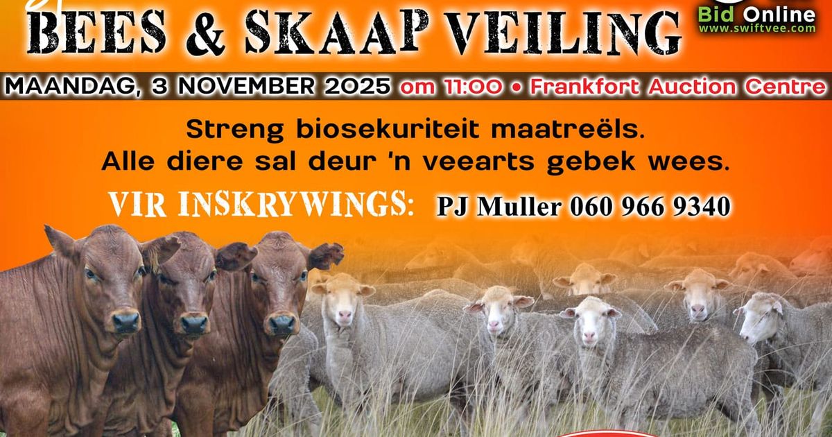 SPESIALE BEES EN SKAAP AANLYN VEILING | SwiftVEE | South Africa’s ...