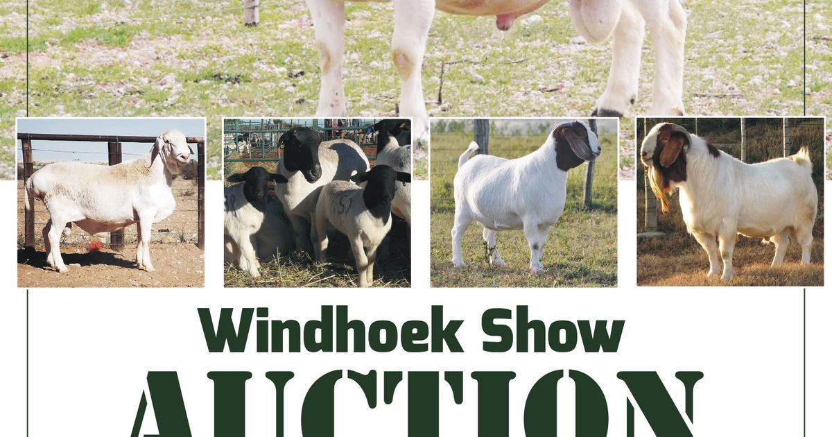 WINDHOEK SHOW AUCTION | SwiftVEE | South Africa’s Leading Online ...