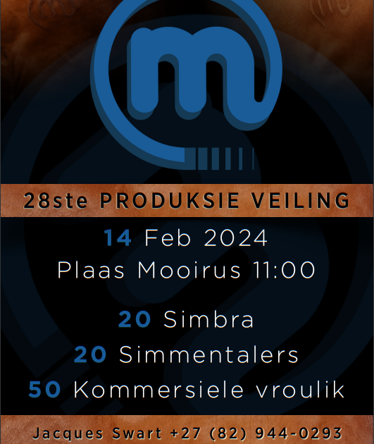 MALEMBA BOERDERY 28STE PRODUKSIEVEILING | SwiftVEE | Livestock & Cattle ...