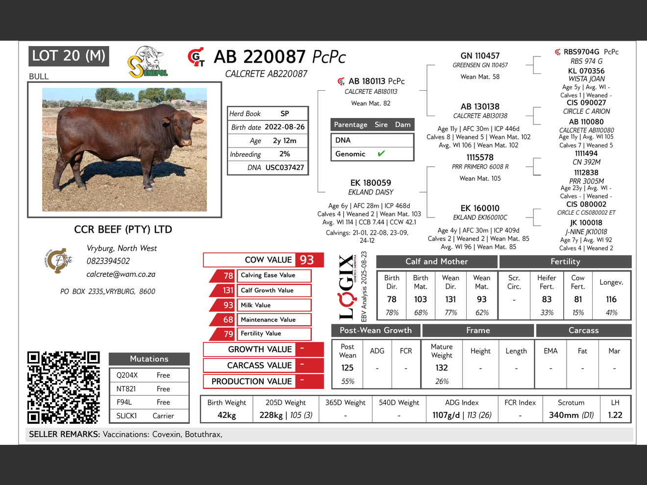 Lot 20 | SENEPOL STOET & AANTEELVEILING | SwiftVEE | Livestock & Cattle ...