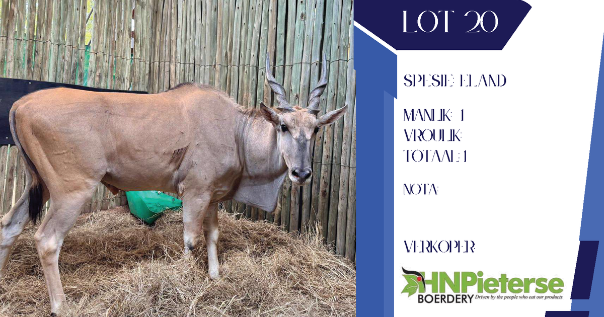 Lot 20 | SCHOONBEE LANDGOED & HN PIETERSE BOERDERY WILD ...