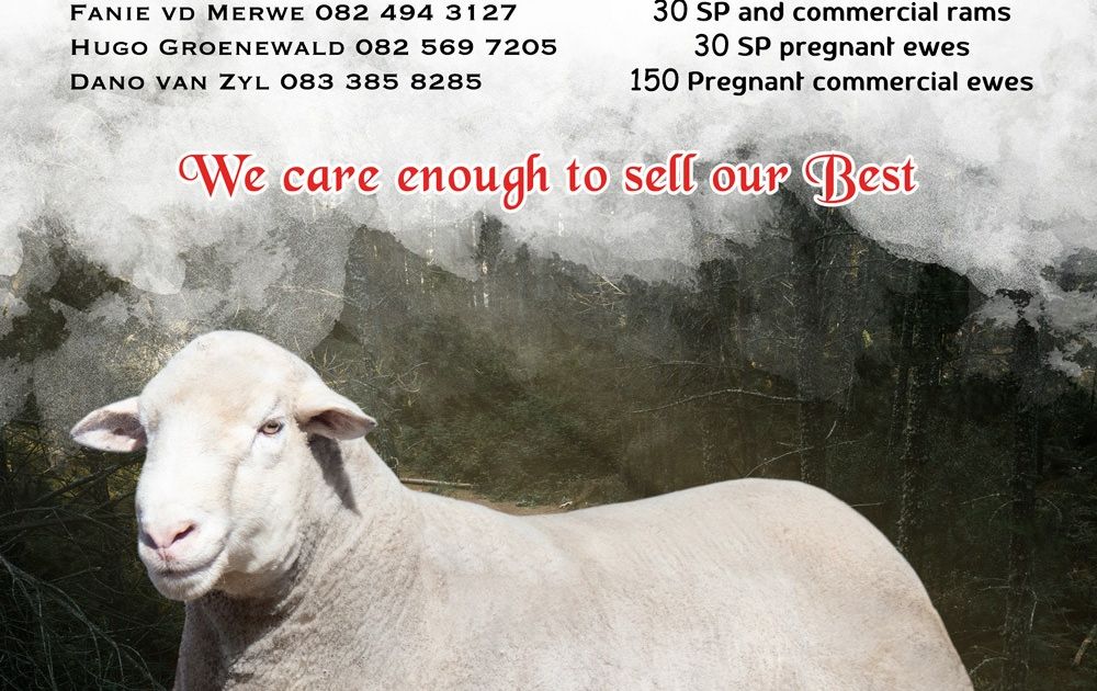 HUGO DORMERS PRESTIGE PRODUCTION SALE | SwiftVEE | South Africa’s ...