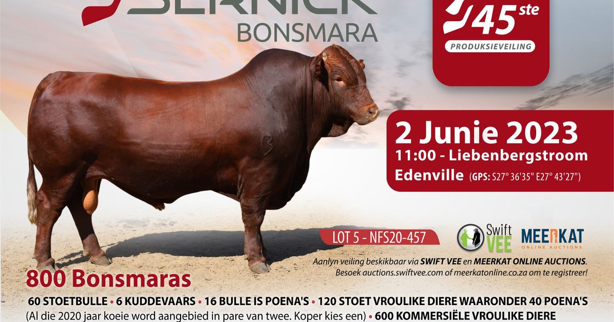 SERNICK BONSMARA 45STE PRODUKSIEVEILING | SwiftVEE | South Africa’s ...
