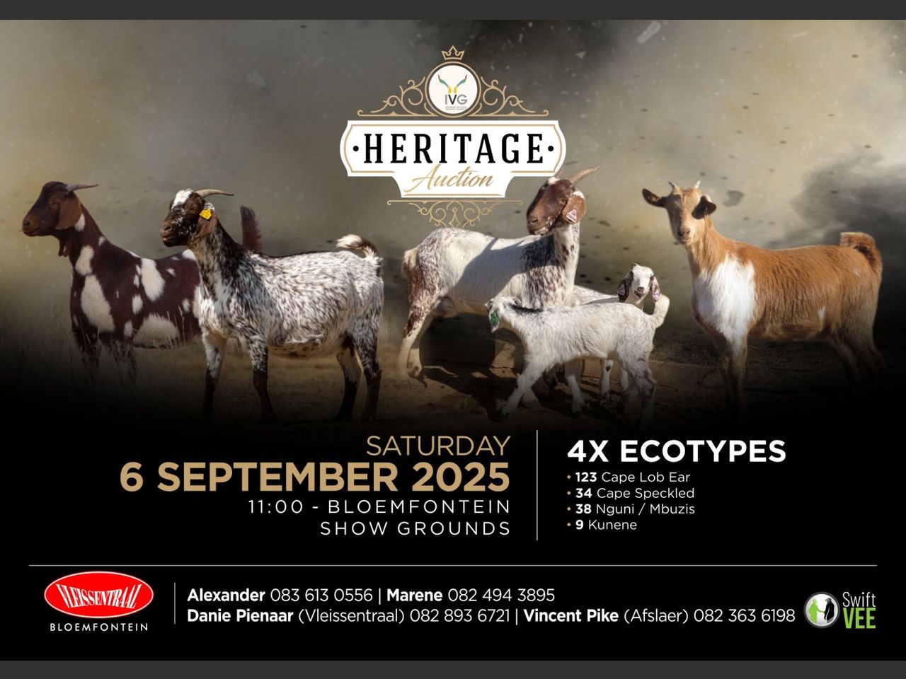 IVG HERITAGE AUCTION | SwiftVEE | South Africa’s Leading Online ...
