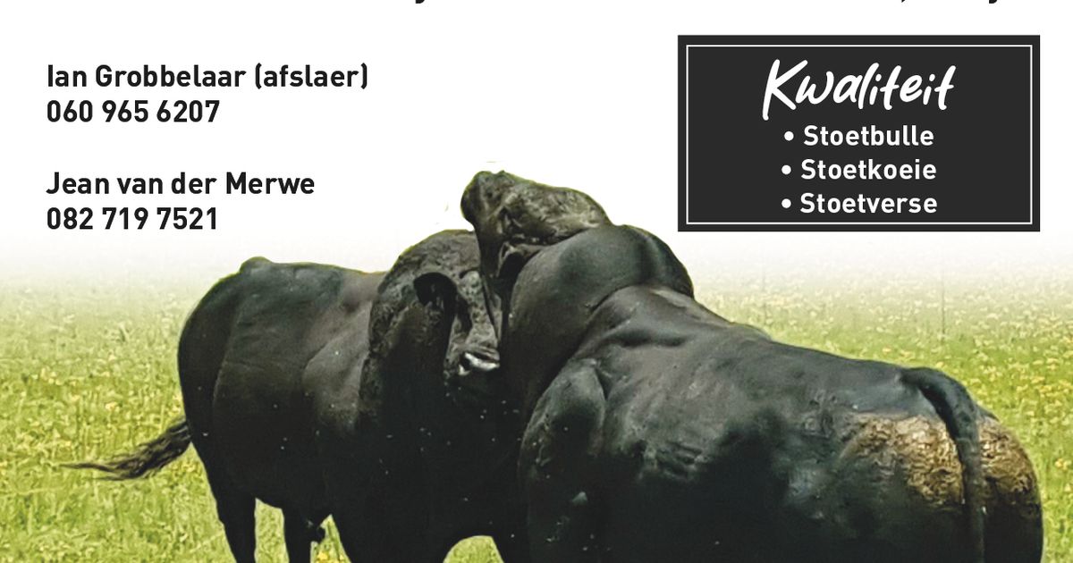 NASIONALE DRAKENSBERGER VEILING 2025 | SwiftVEE | South Africa’s ...