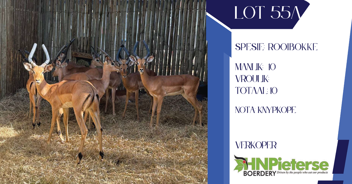 Lot 55A | SCHOONBEE LANDGOED & HN PIETERSE BOERDERY WILD ...