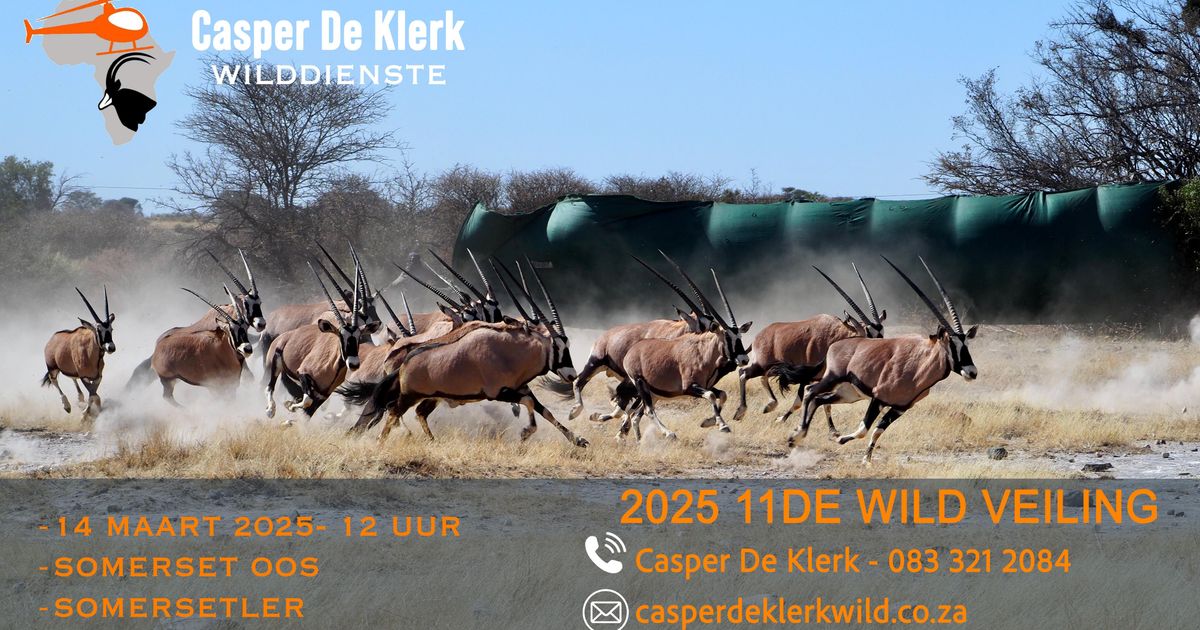 CASPER DE KLERK WILD | SwiftVEE | Livestock & Cattle Webcast Auctions