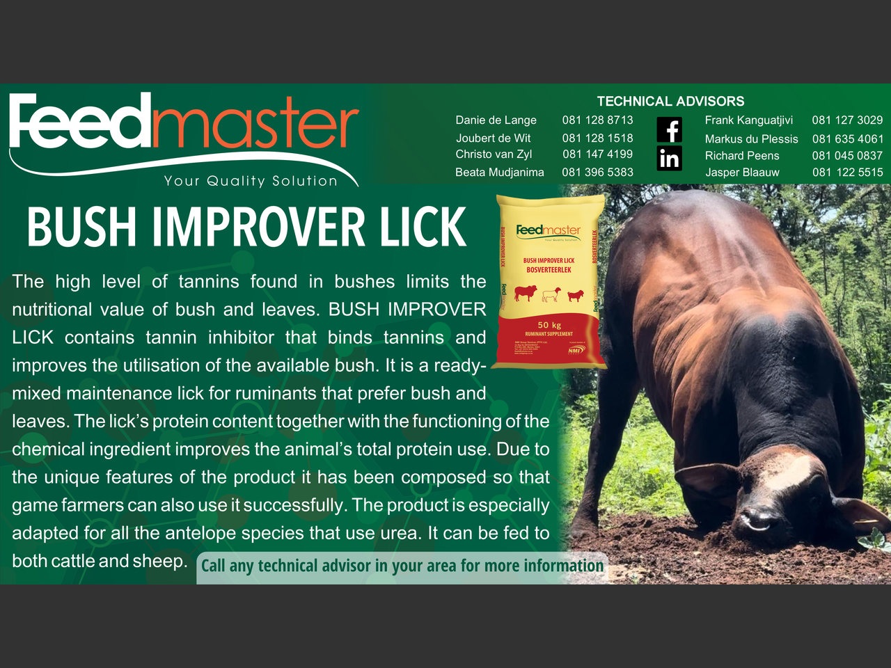 Lot Featured | SPESIALE BEES EN SKAAP AANLYN VEILING | SwiftVEE ...