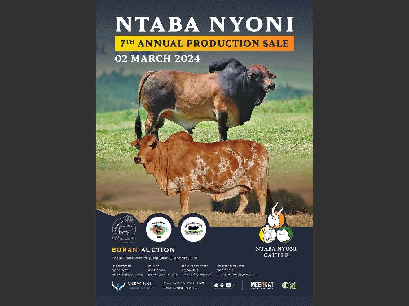 Lot 1A | NTABA NYONI 7TH ANNUAL PRODUCTION SALE | SwiftVEE | Livestock ...