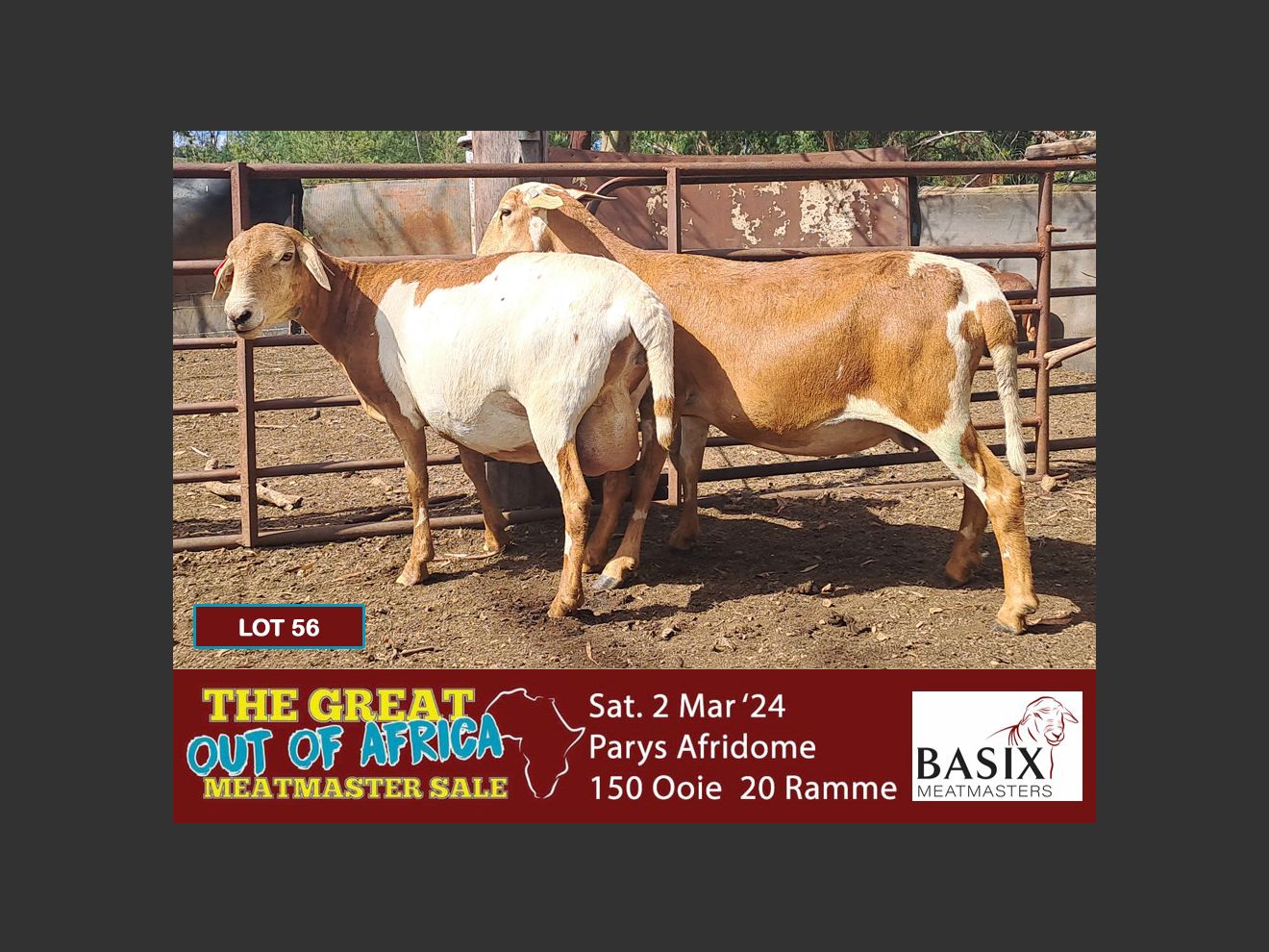 Lot 56B | THE GREAT OUT OF AFRICA MEATMASTER SALE | SwiftVEE ...