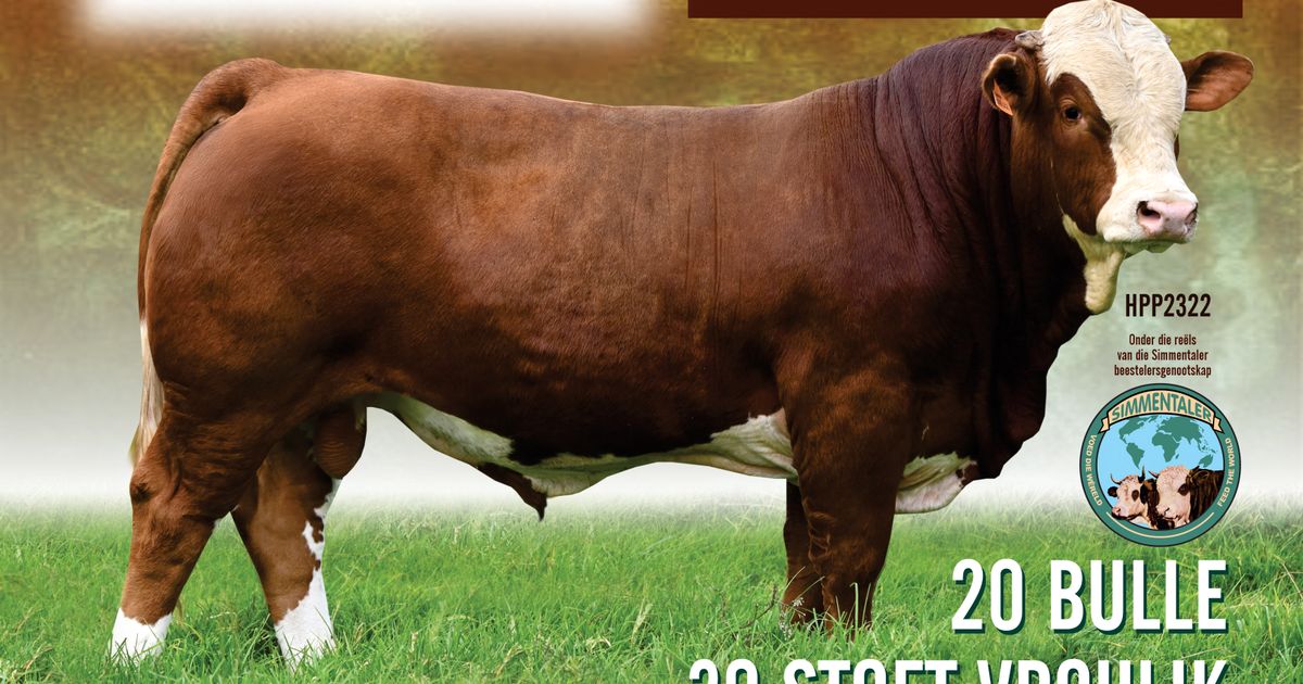 TRISIM DERBY PRODUKSIEVEILING | SwiftVEE | South Africa’s Leading ...