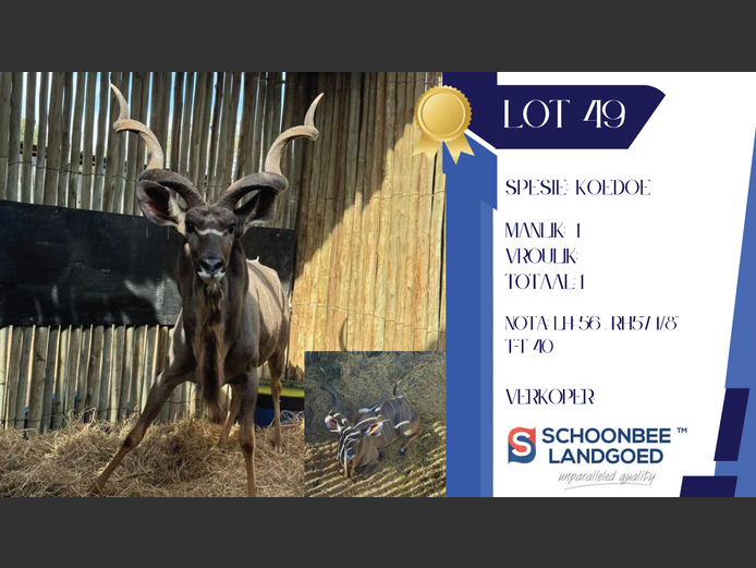 Lot 49 | SCHOONBEE LANDGOED & HN PIETERSE BOERDERY WILD ...