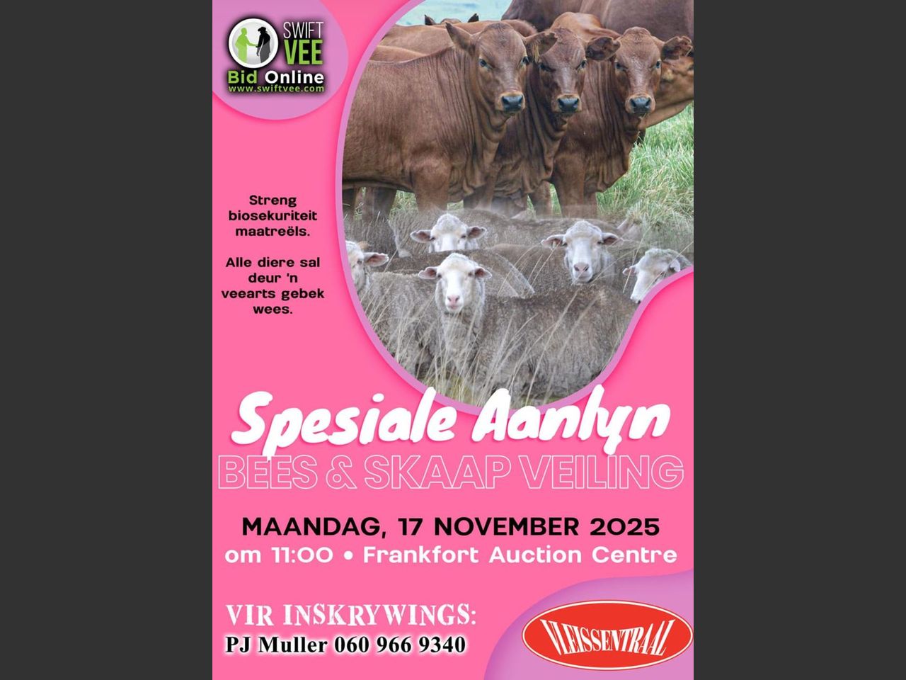 SPESIALE BEES EN SKAAP AANLYN VEILING | SwiftVEE | South Africa’s ...