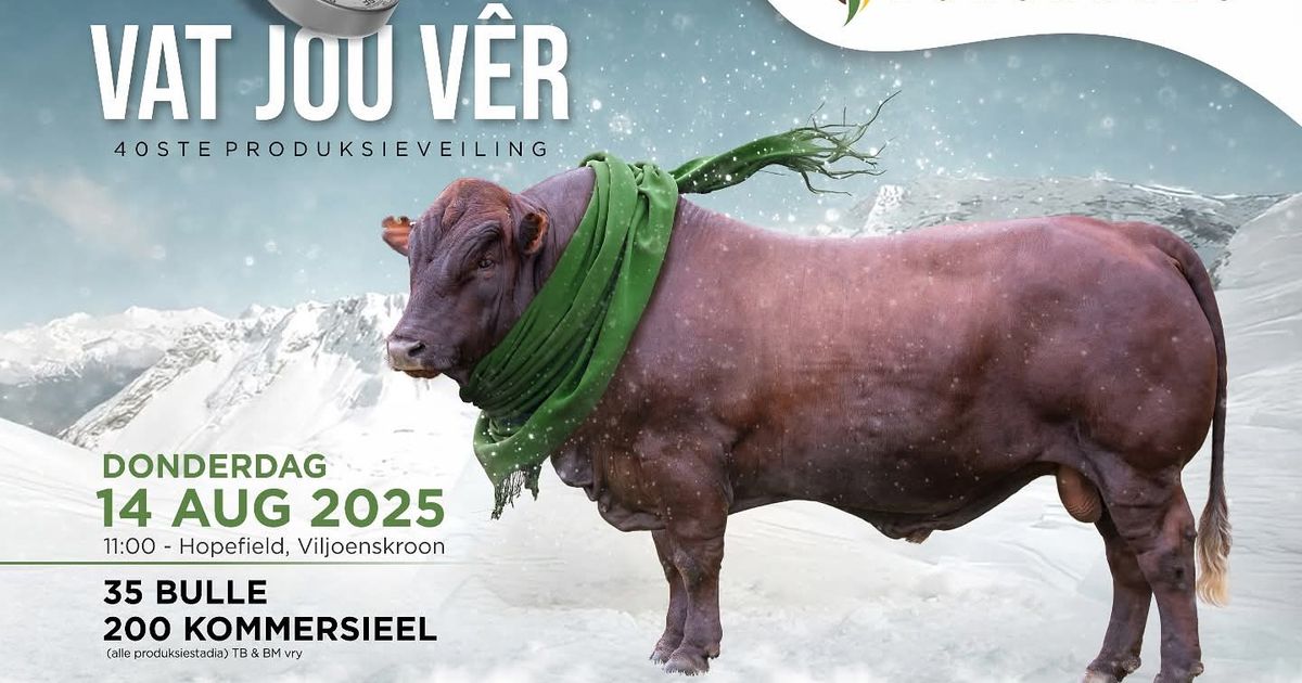 MIELIEBOERE BONSMARAS 40STE PRODUKSIEVEILING | SwiftVEE | South Africa ...