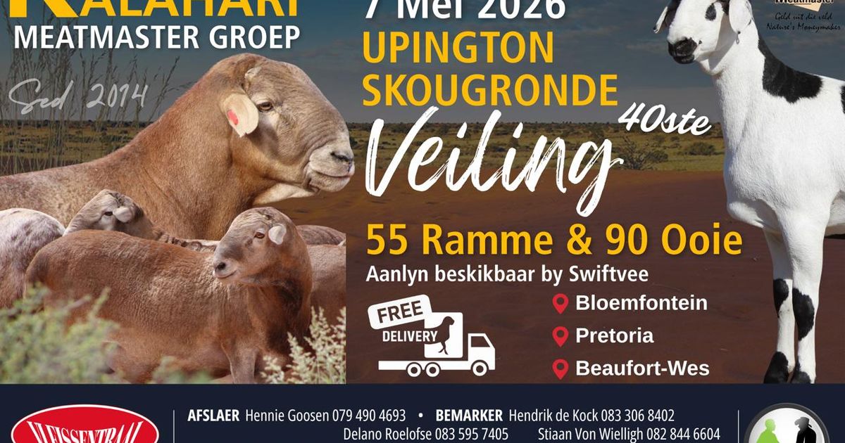 KALAHARI KAROO MEATMASTER GROEP 40STE VEILING | SwiftVEE | South Africa ...