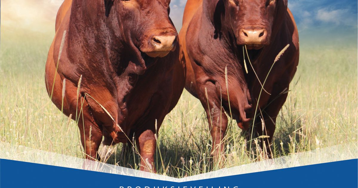 LHB & KRUGER BONSMARAS PRODUKSIEVEILING | SwiftVEE | South Africa’s ...