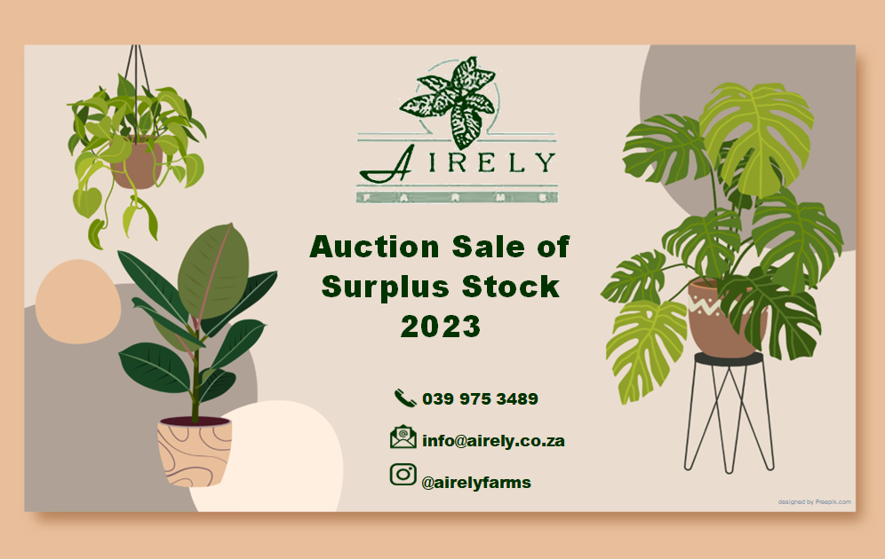 Surplus Stock Production Sale | AuctionApp