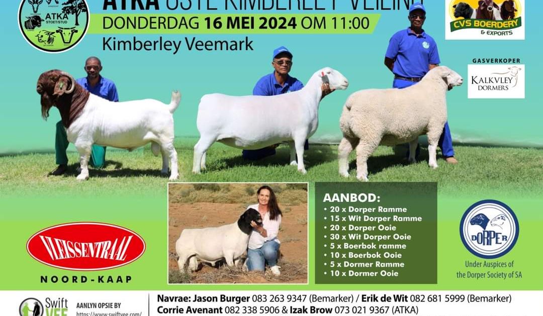 ATKA 8STE KIMBERLEY VEILING | SwiftVEE | South Africa’s Leading Online ...