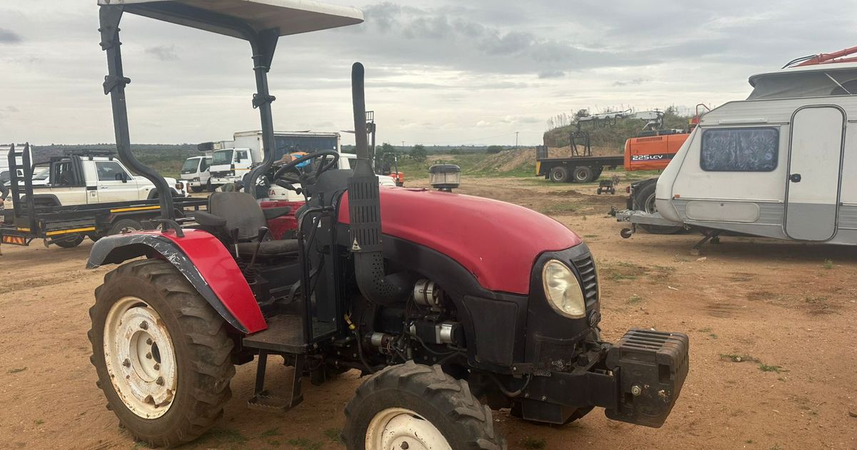 Lot 40 | N1 POLOKWANE AUCTION | SwiftVEE | Livestock & Cattle Webcast ...