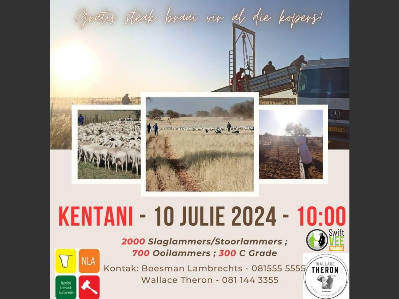 Lot 1A | KENTANI VEILING | SwiftVEE | Livestock & Cattle Webcast Auctions