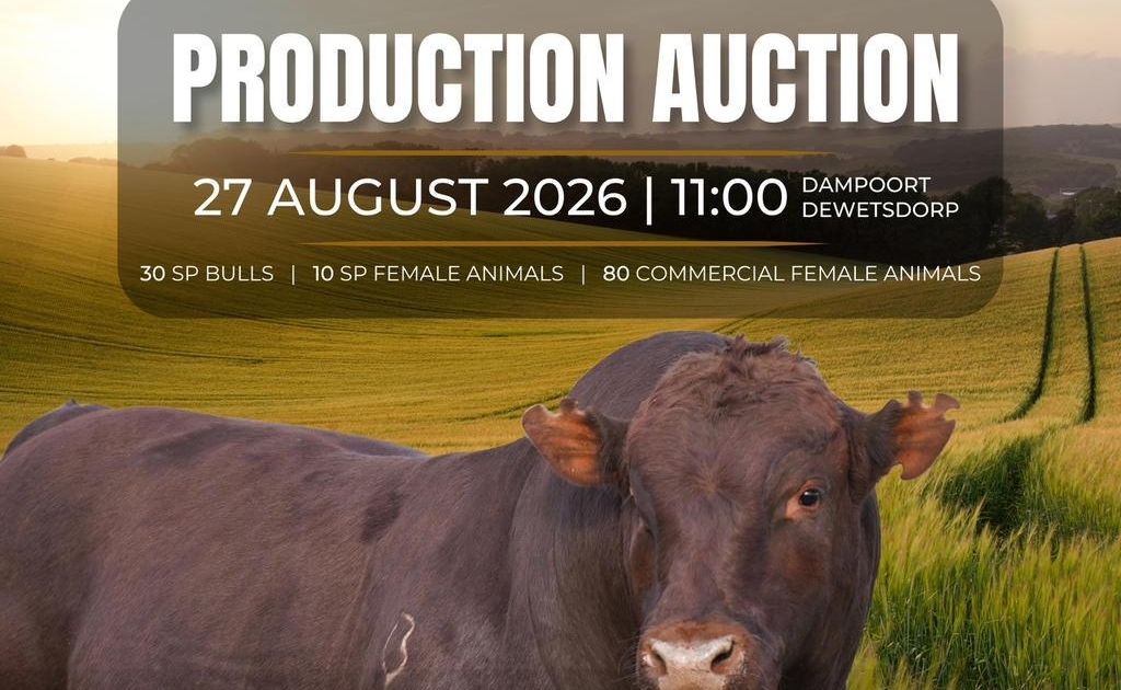 WESTBOURN BONSMARA PRODUCTION AUCTION | SwiftVEE | South Africa’s ...