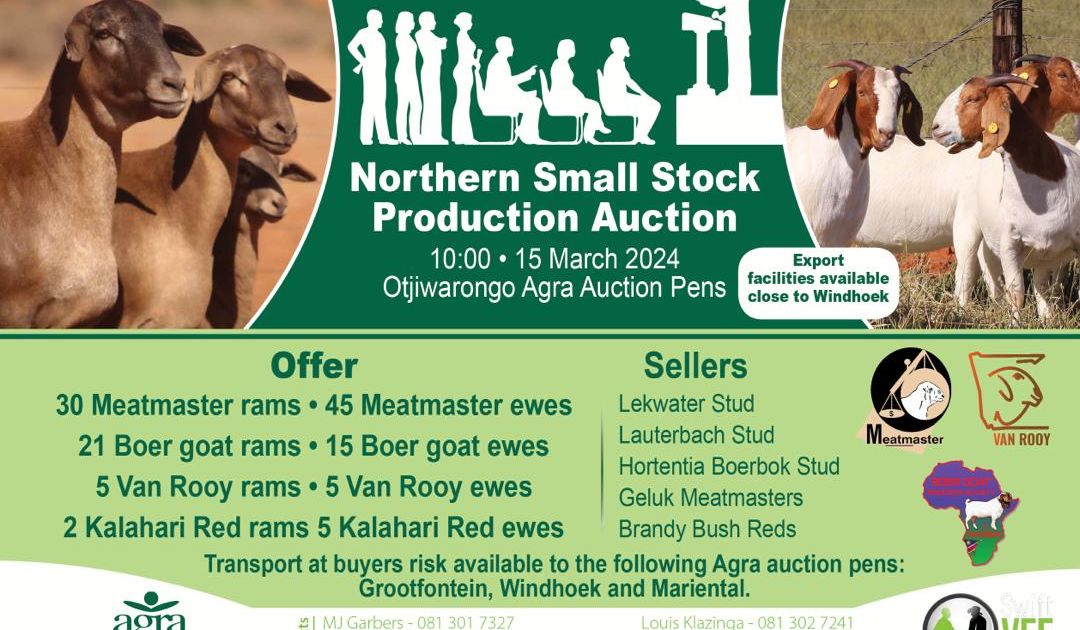 NORTHERN SMALL STOCK PRODUCTION AUCTION | SwiftVEE | Livestock & Cattle ...