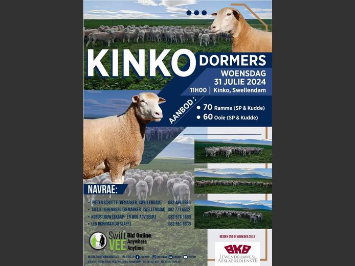KINKO DORMERS PRODUKSIEVEILING | SwiftVEE | Livestock & Cattle Webcast ...