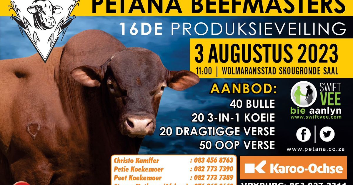 PETANA BEEFMASTERS 16DE PRODUKSIEVEILING | SwiftVEE | South Africa’s ...