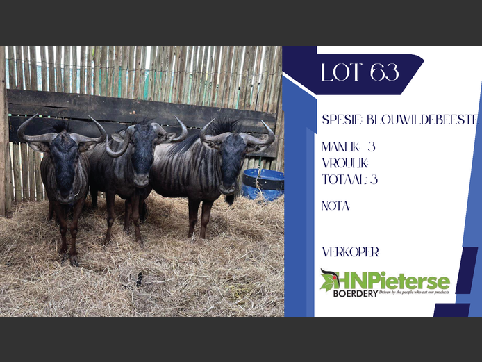 Lot 63 | SCHOONBEE LANDGOED & HN PIETERSE BOERDERY WILD ...