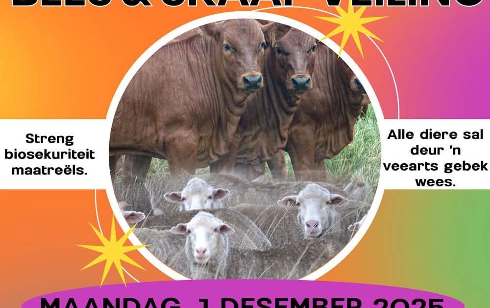 SPESIALE BEES EN SKAAP AANLYN VEILING | SwiftVEE | South Africa’s ...