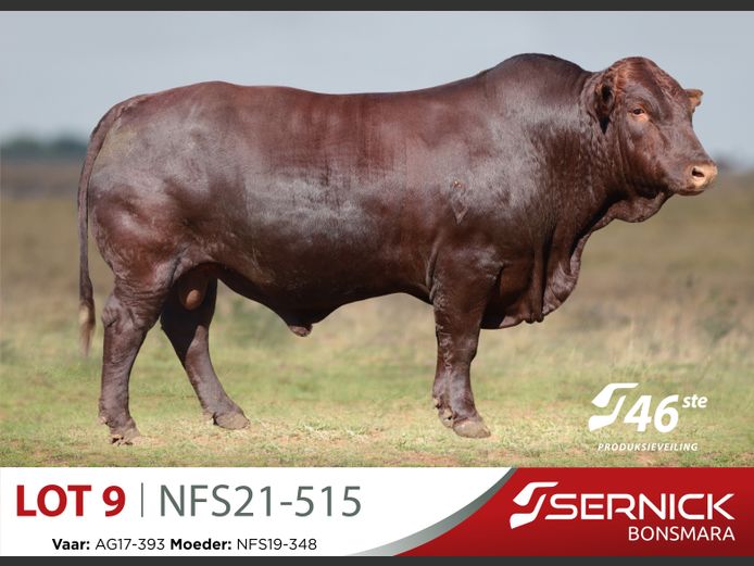 Lot 9 | SERNICK BONSMARA 46STE PRODUKSIEVEILING | SwiftVEE | South ...